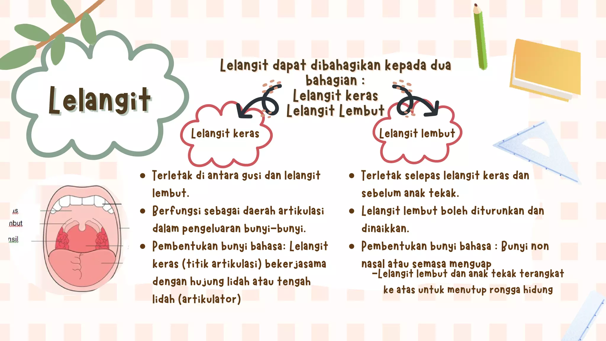 BMMB3183: PENGENALAN FONETIK DAN FONOLOGI.pdf