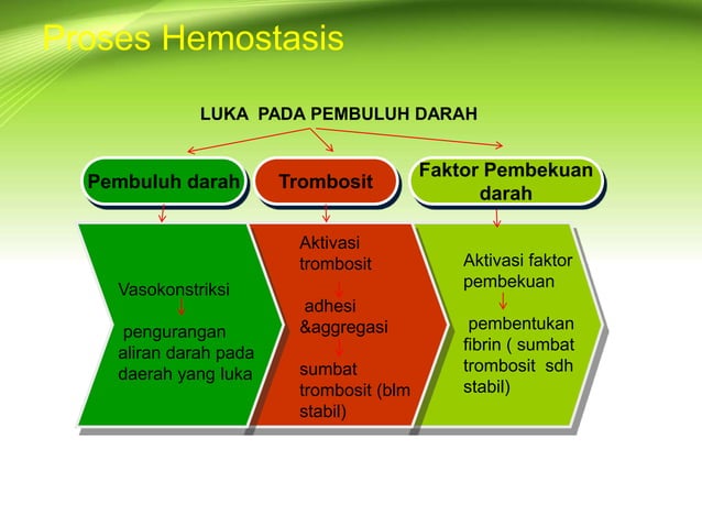 1. FISIOLOGI hemostasis IST 2019.pptx