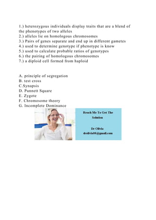 1.) heterozygous individuals display traits that are a blend of the .docx