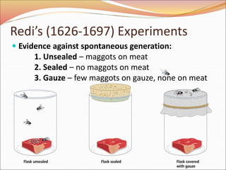 1. origin of life.ppt