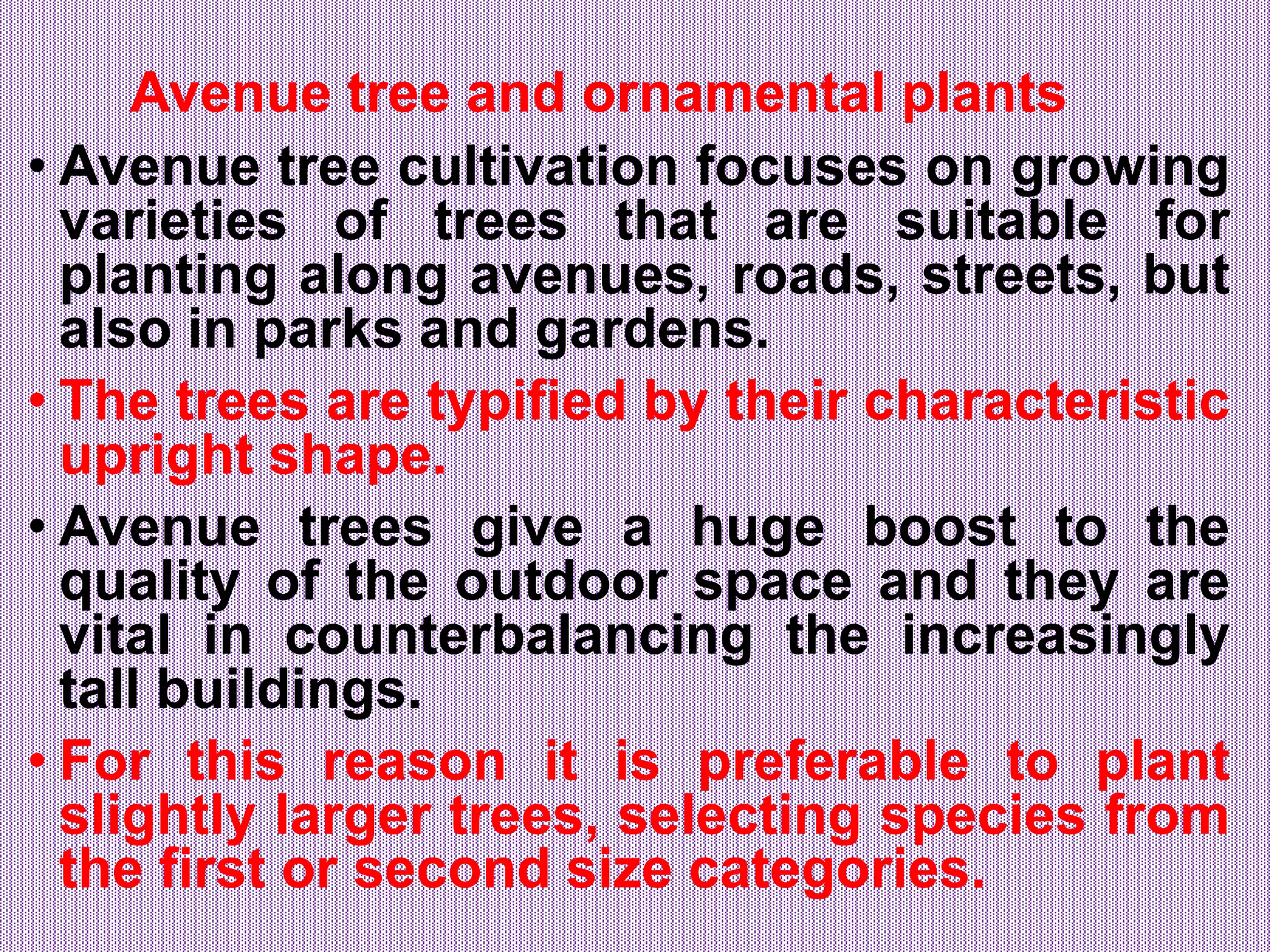 1. Avenue Trees.pptx