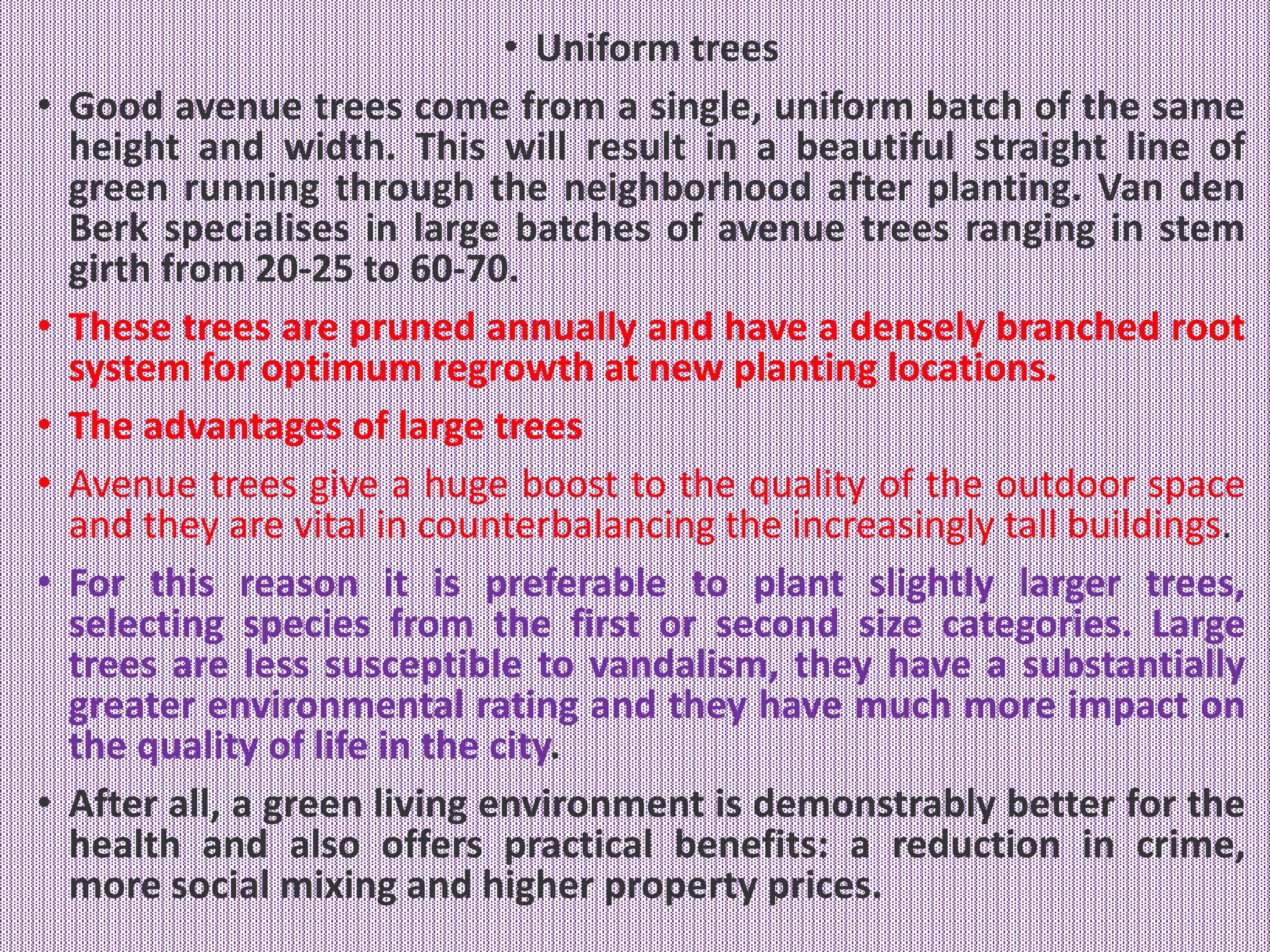 1. Avenue Trees.pptx