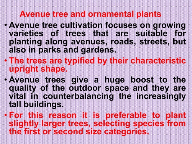 1. Avenue Trees.pptx