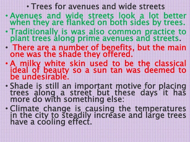 1. Avenue Trees.pptx