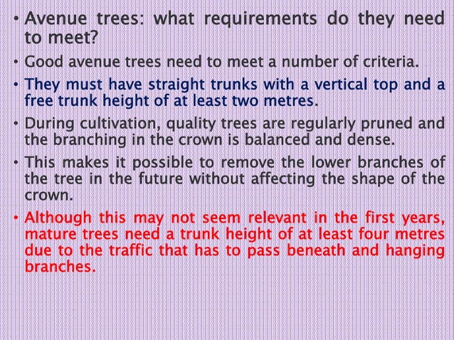 1. Avenue Trees.pptx