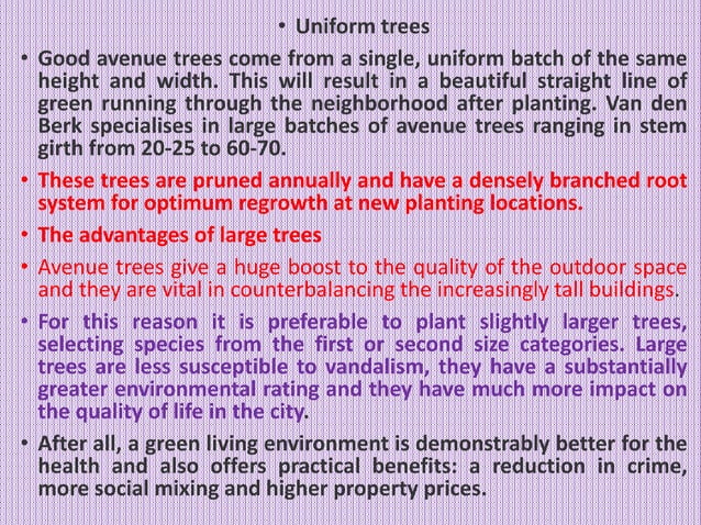 1. Avenue Trees.pptx