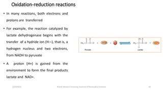 Metabolism and Redox coenzymes (1).pptx