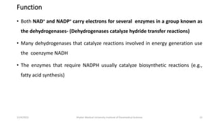 Metabolism and Redox coenzymes (1).pptx