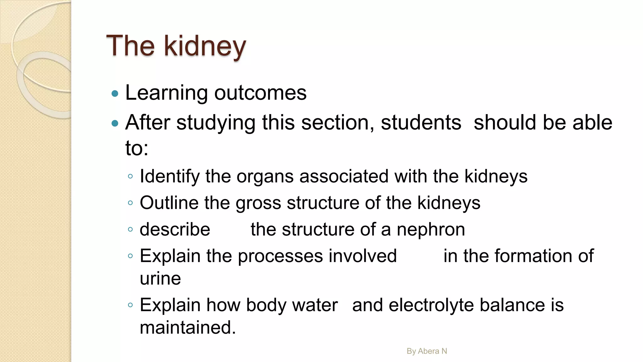 1. AnatomyThe Urinary System ppt ed.pptx