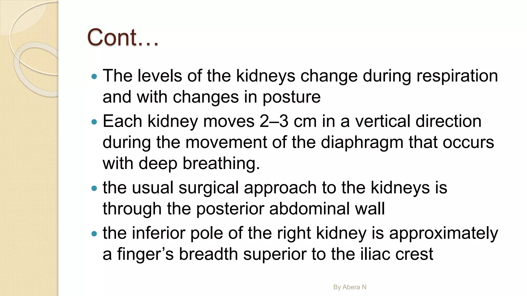 1. AnatomyThe Urinary System ppt ed.pptx