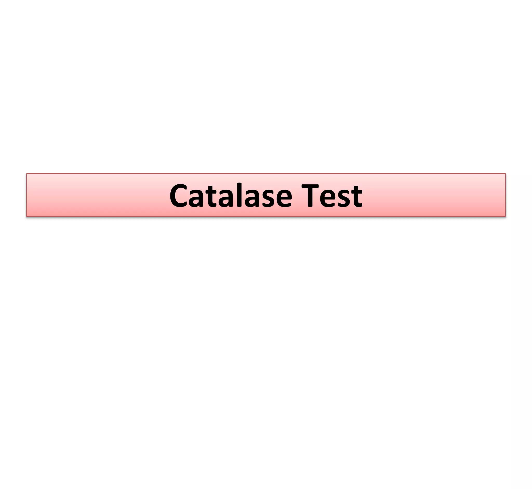 1.Catalase,urease and TSI Test.pptx