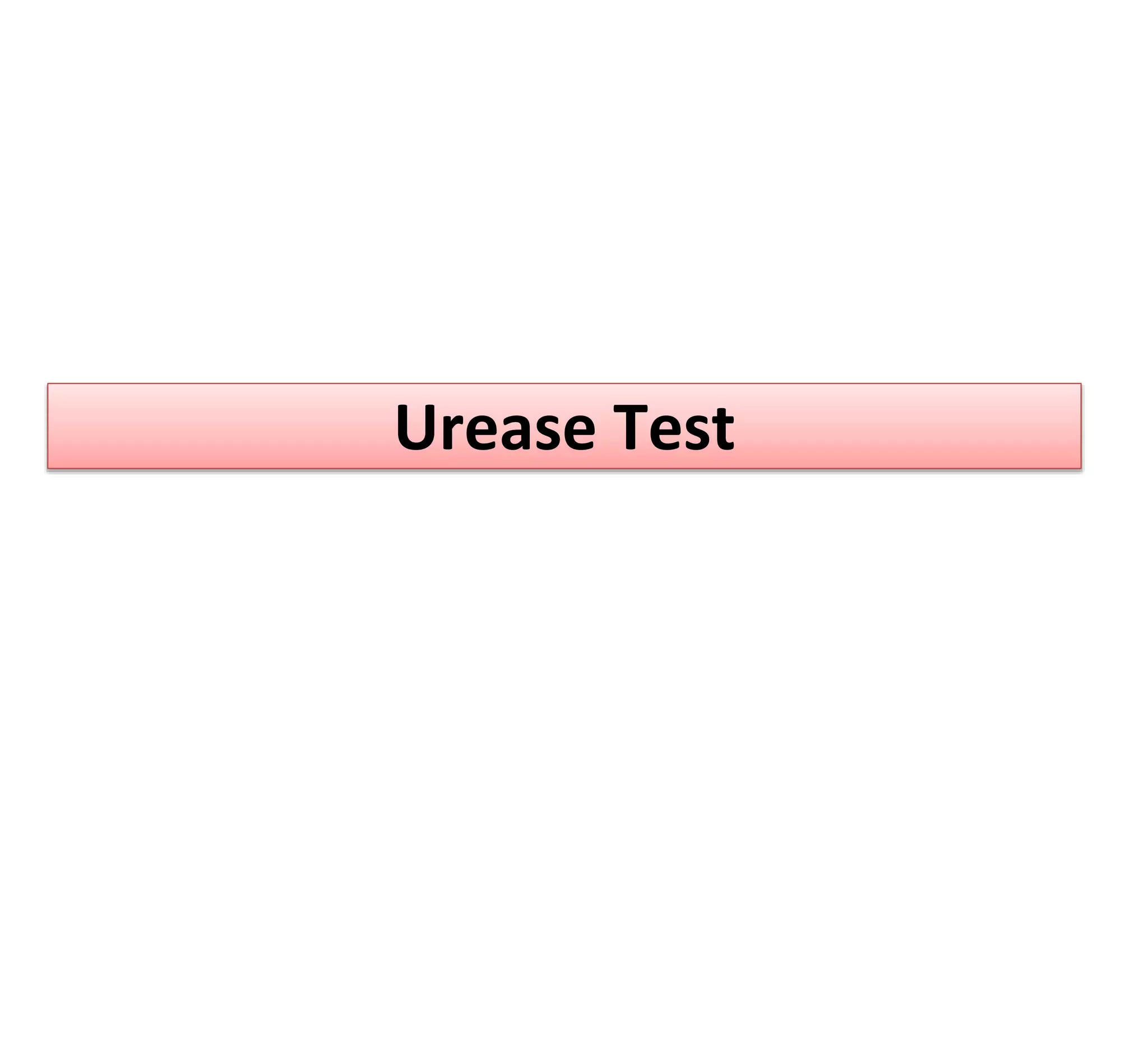 1.Catalase,urease and TSI Test.pptx