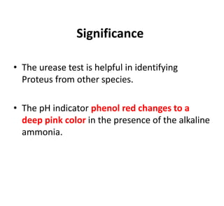 1.Catalase,urease and TSI Test.pptx