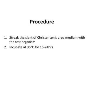 1.Catalase,urease and TSI Test.pptx