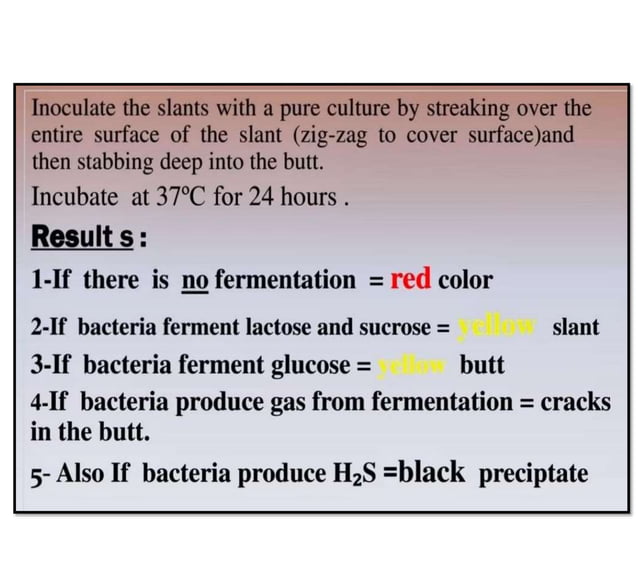 1.Catalase,urease and TSI Test.pptx