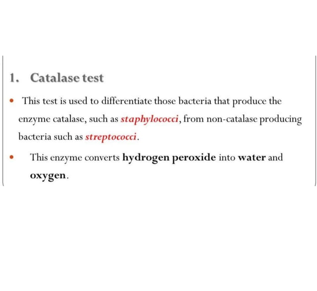 1.Catalase,urease and TSI Test.pptx