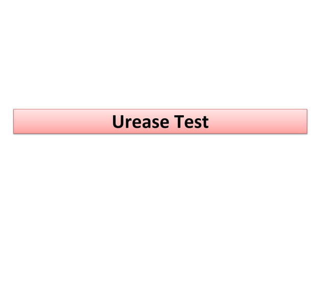 1.Catalase,urease and TSI Test.pptx