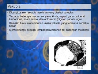 1. ANATOMI SEL 2022.pdf