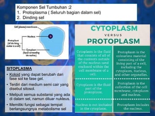 1. ANATOMI SEL 2022.pdf