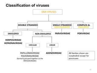 1.Medical Virology PH 2022.pptx