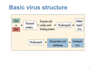 1.Medical Virology PH 2022.pptx