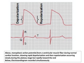 1.3.1.8 - Dasar-Dasar EKG.pdf