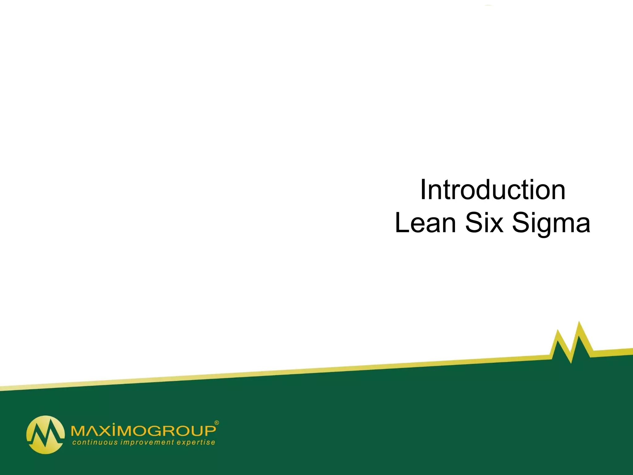 1.1 Pre Define - Lean Six Sigma and Organization YB-GB-BB.pdf