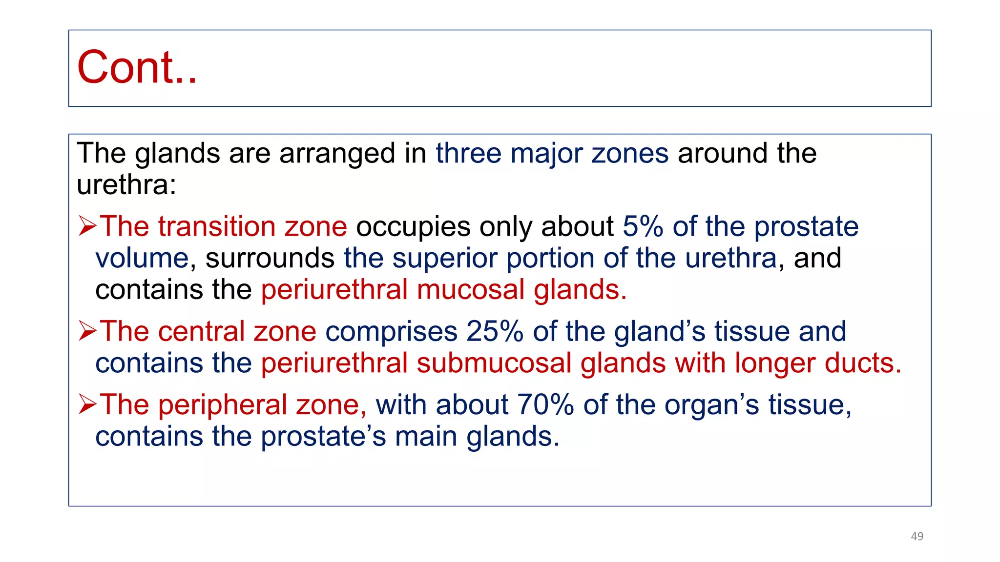 1. histology reproductive system.ppt