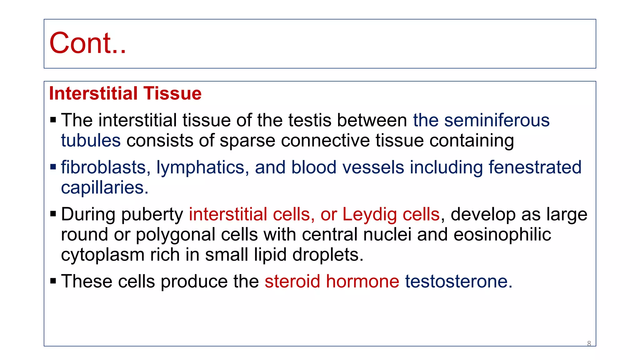 1. histology reproductive system.ppt