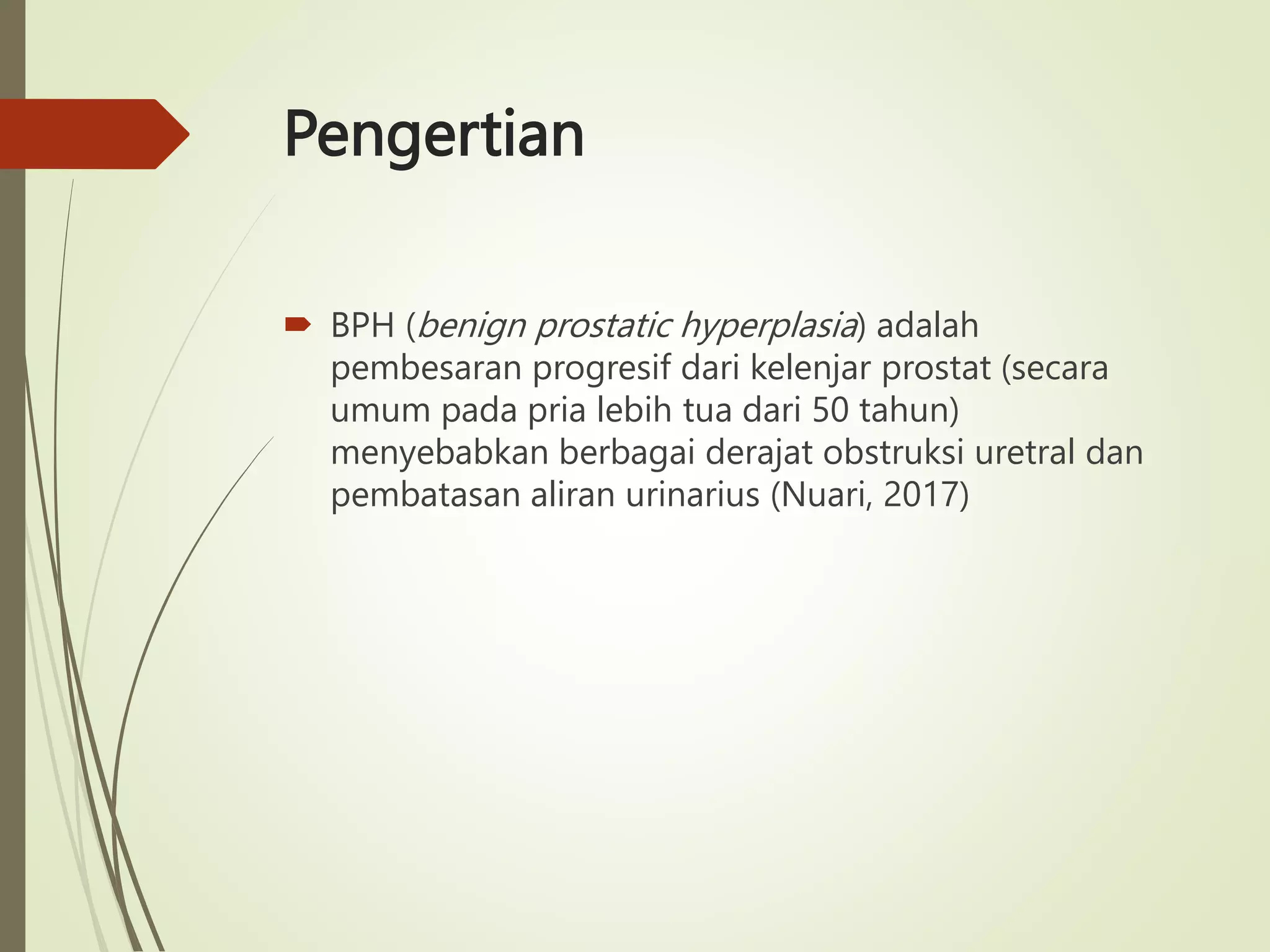 1. PPT BPH.pptx