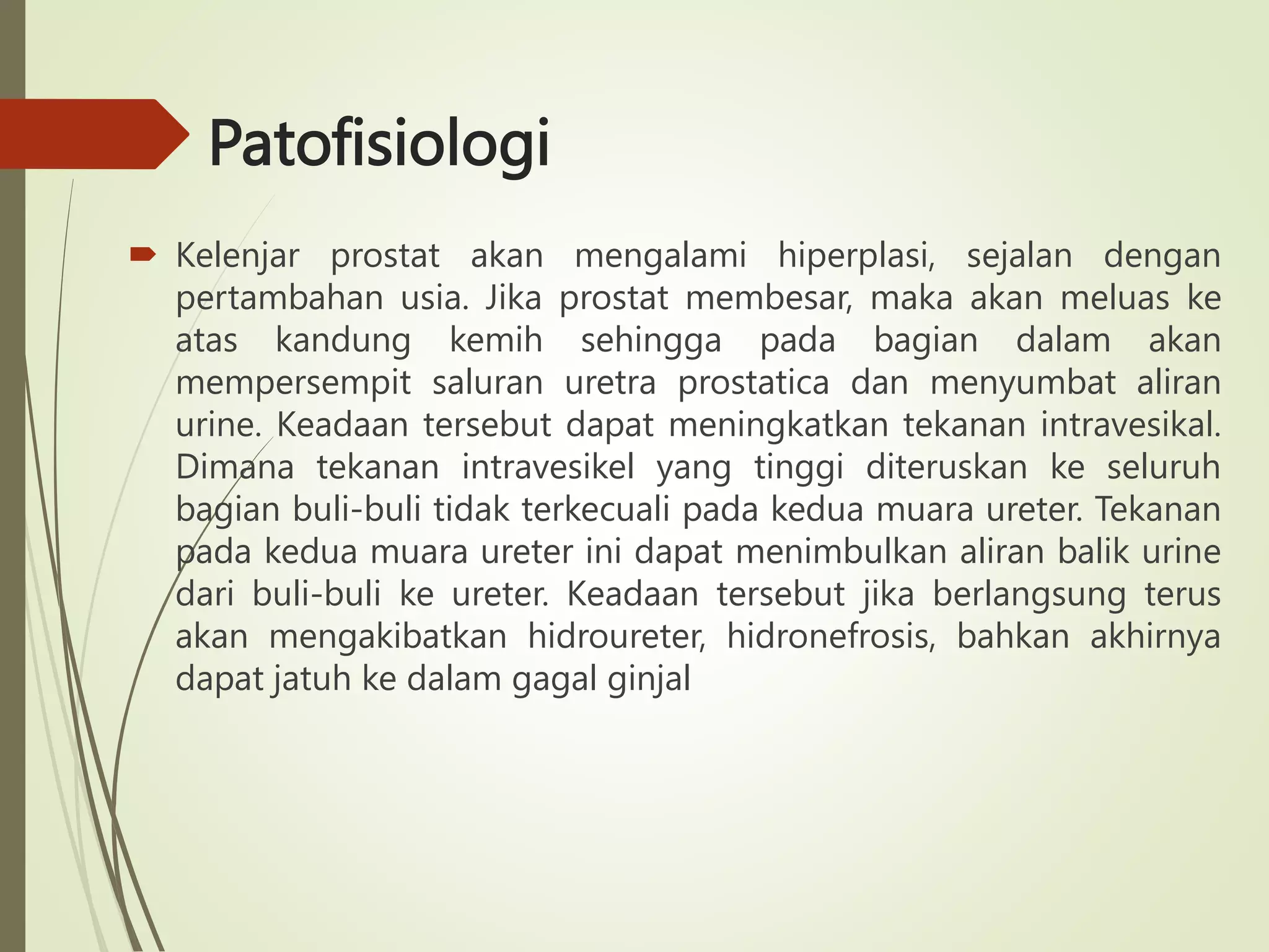 1. PPT BPH.pptx