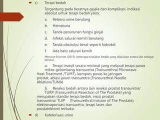 1. PPT BPH.pptx