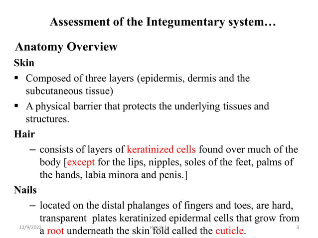 1. Integumentary system.pdf
