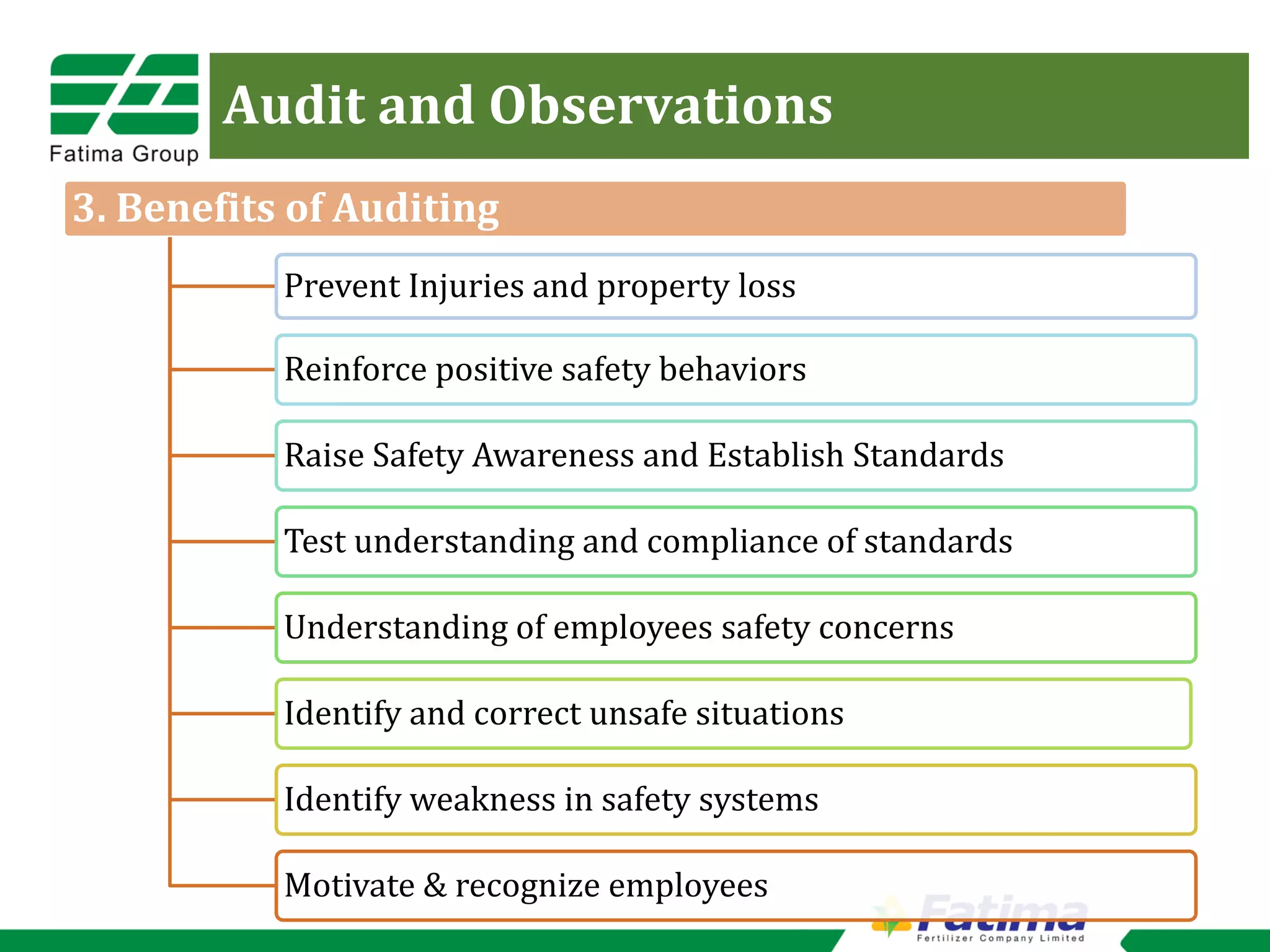 1. Audit and Observations.pdf