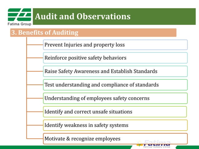 1. Audit and Observations.pdf