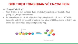 1.pptx