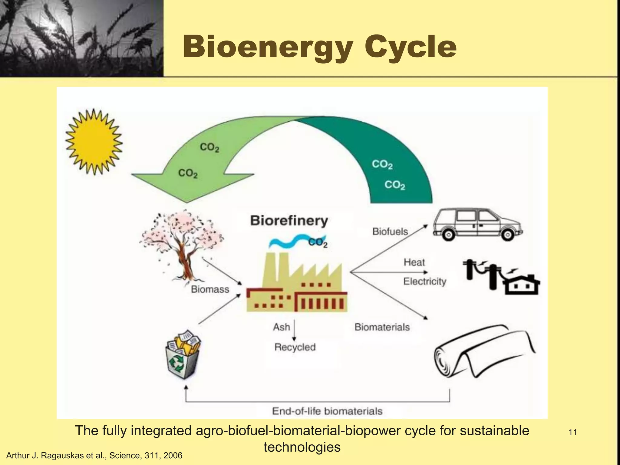 1. Biomass Biofuel.ppt