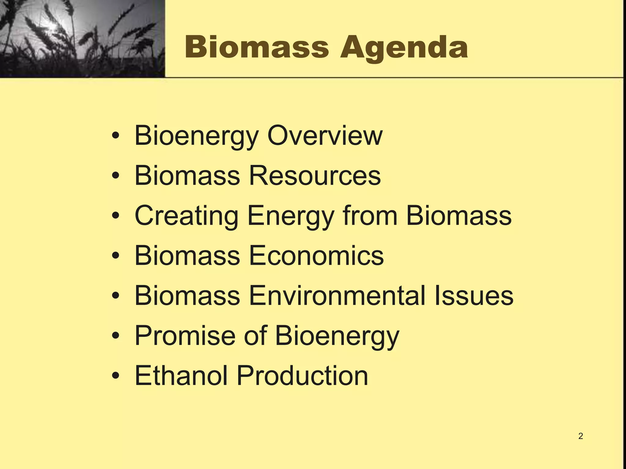1. Biomass Biofuel.ppt