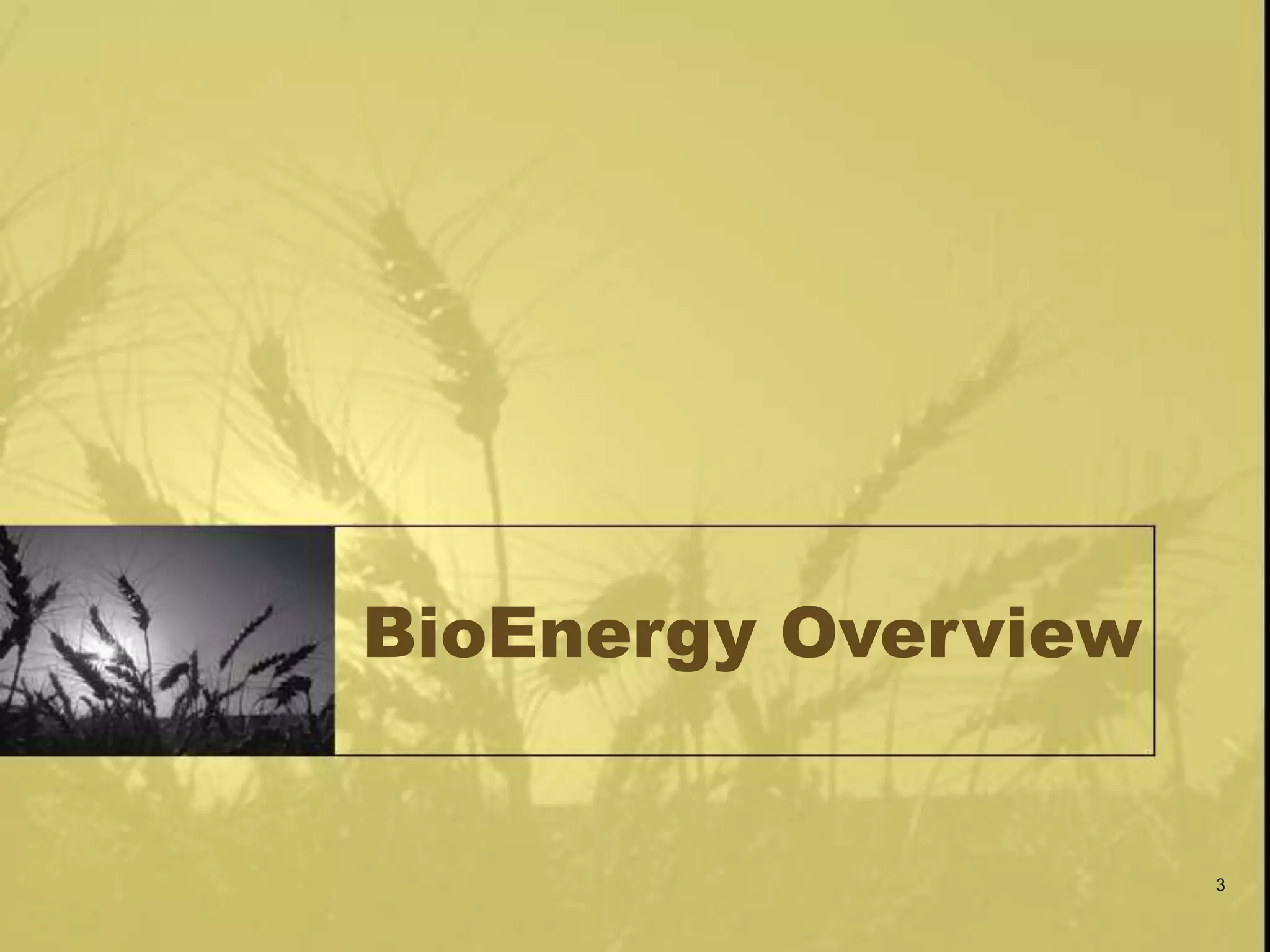 1. Biomass Biofuel.ppt