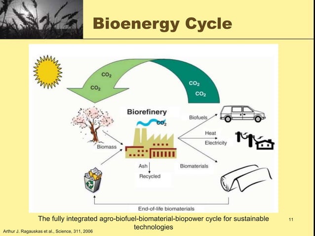 1. Biomass Biofuel.ppt