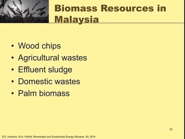 1. Biomass Biofuel.ppt