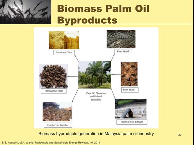 1. Biomass Biofuel.ppt