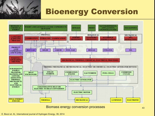 1. Biomass Biofuel.ppt
