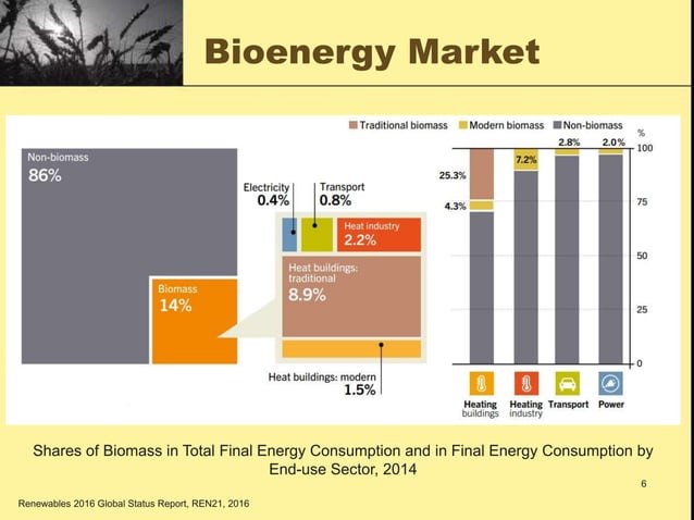 1. Biomass Biofuel.ppt