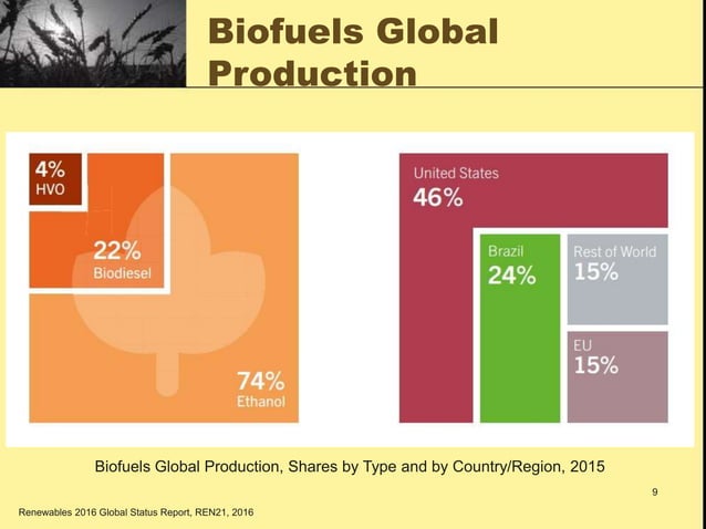 1. Biomass Biofuel.ppt
