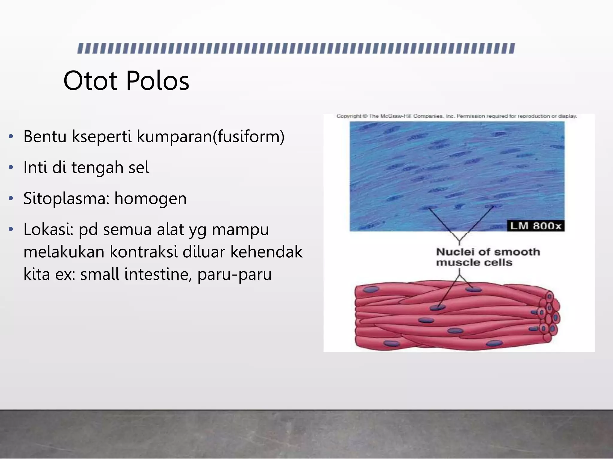 1. ANFIS DASAR.ppt