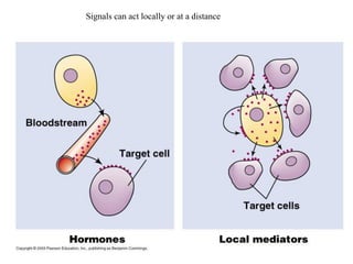 1.Signal_Transduction-med-1.pdf