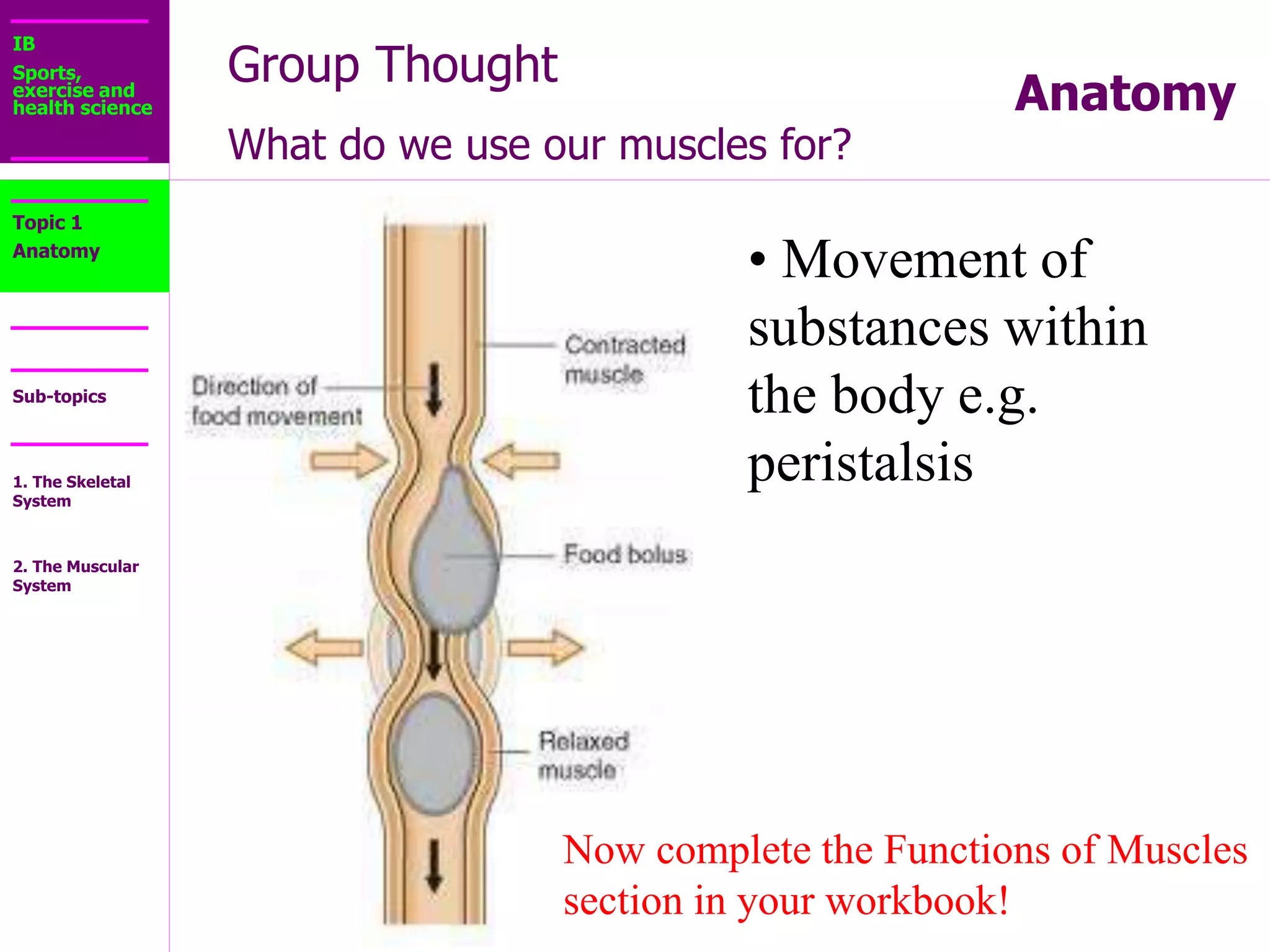 1.2_The_Muscular_System.ppt