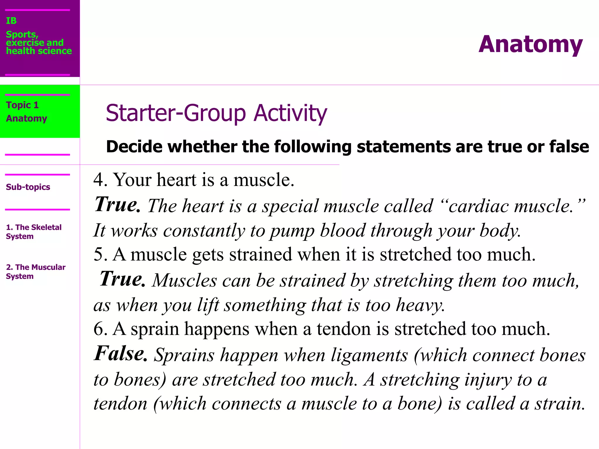 1.2_The_Muscular_System.ppt