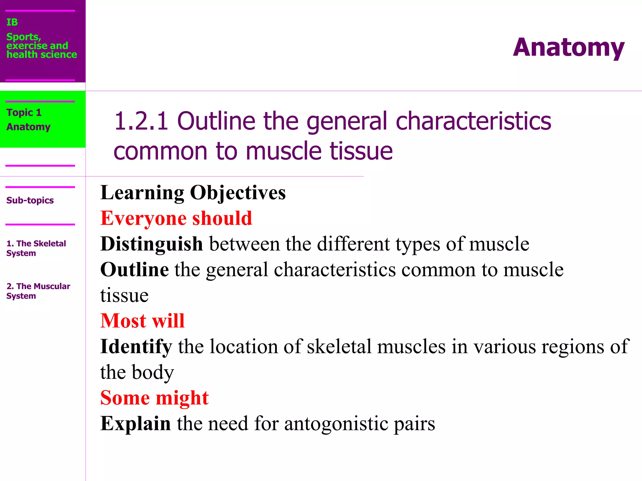 1.2_The_Muscular_System.ppt